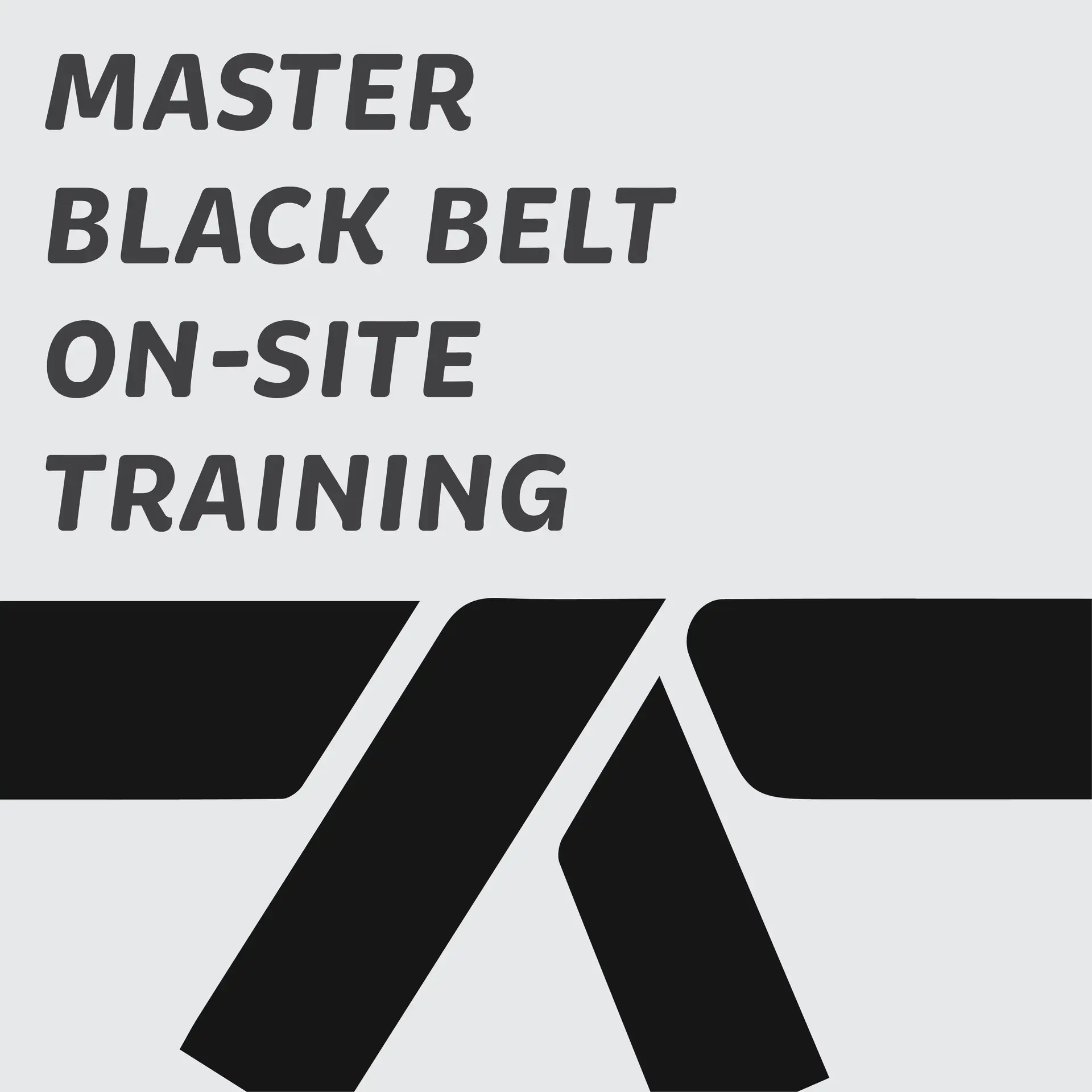 Master Black Belt On-site Training – Lean Six Sigma Experts